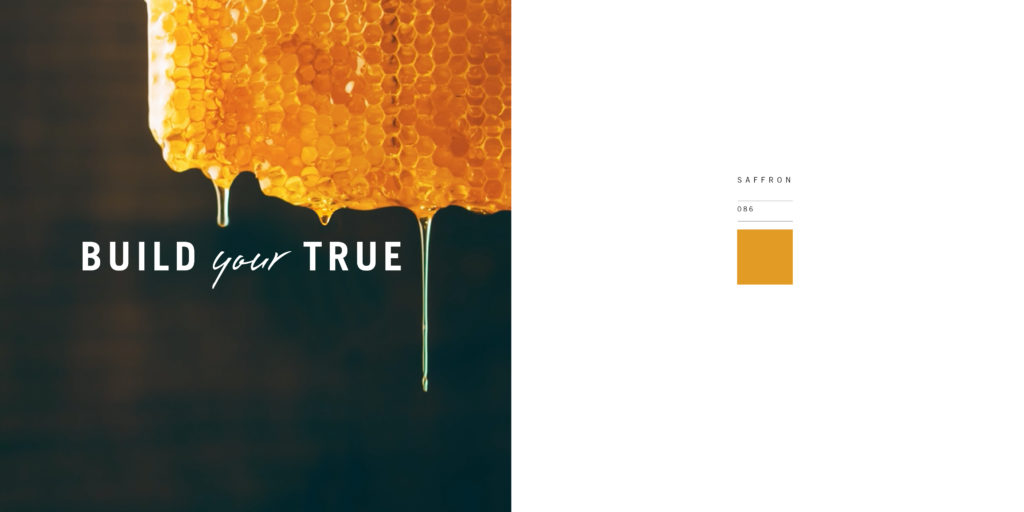 True Residential | Luxury Refrigerators with Commercial DNA